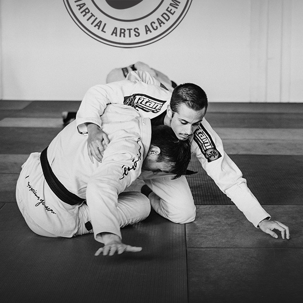 Anaconda Martial Arts Academy - About